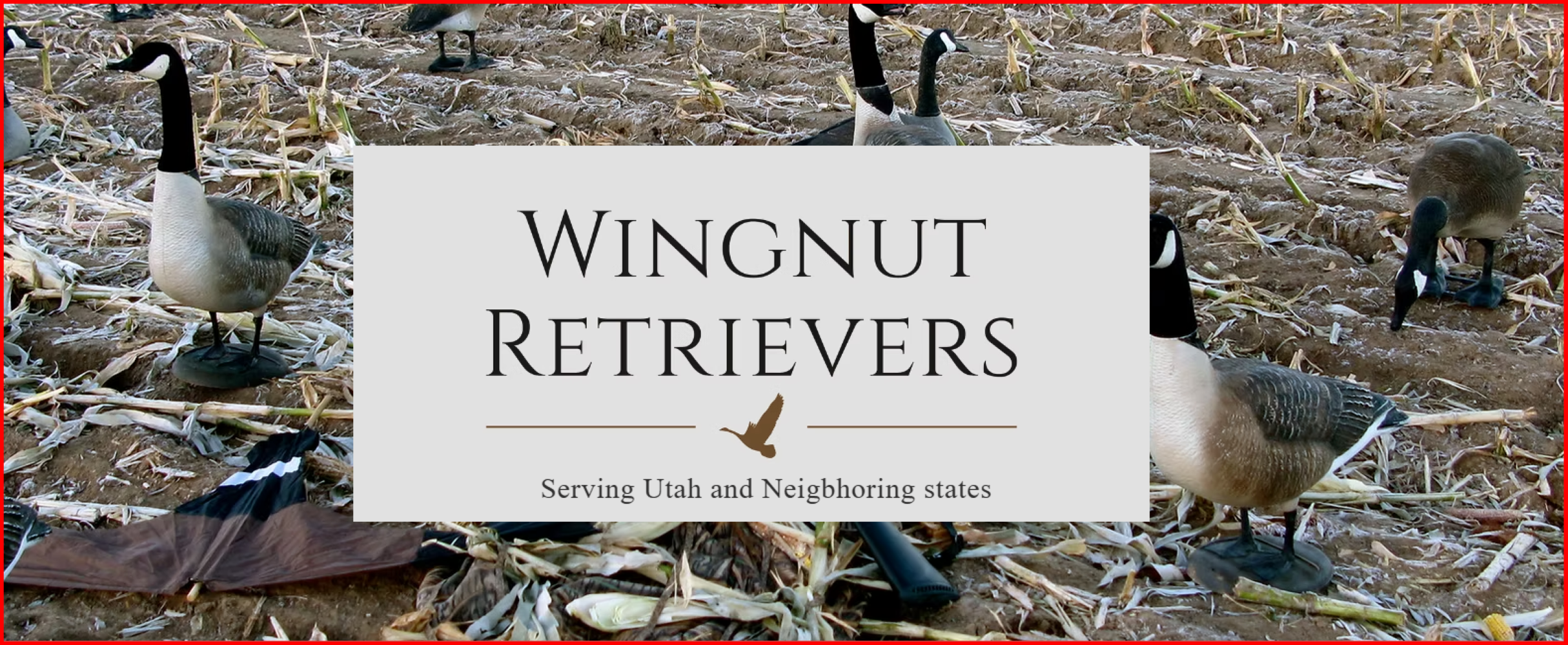 Untitled 1 [huntinglabpedigree.com]